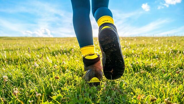 Wandelschoenentest 2026: best geteste wandelschoenen | ANWB