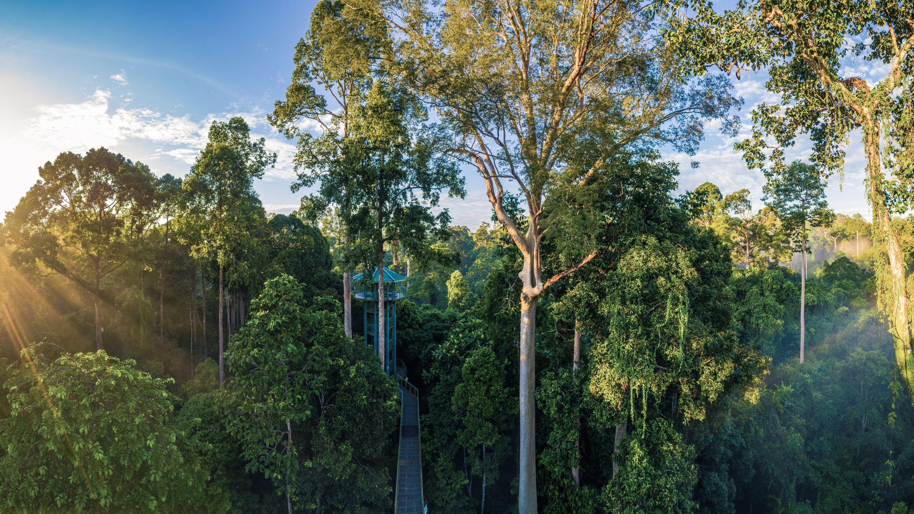 Rondreis naar Borneo, Maleisië? Rondreizen van » ANWB