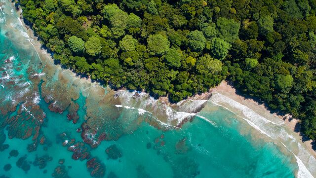 Rondreis Costa Rica | Boek rondreizen in Costa Rica | ANWB