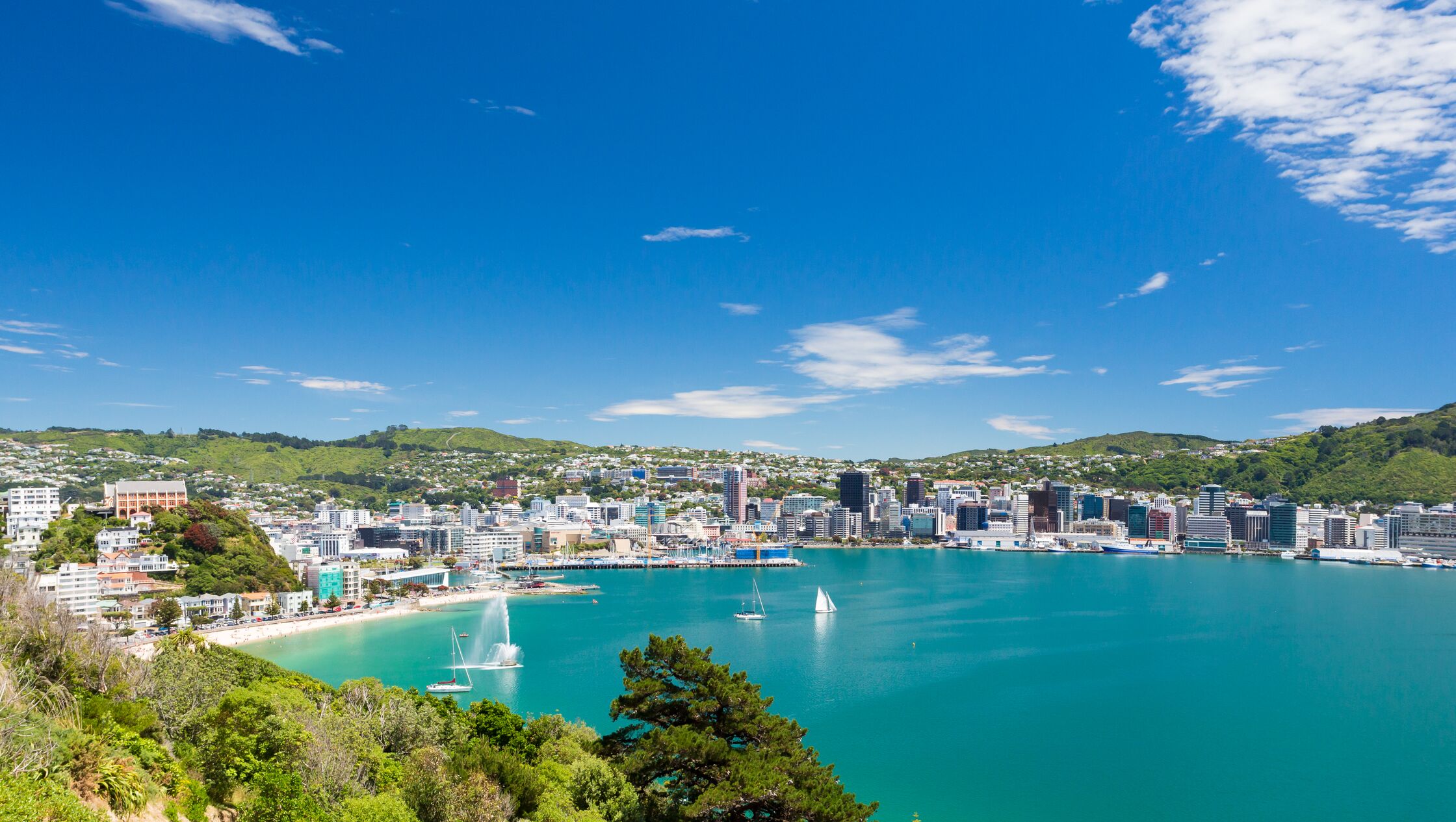 Geniet van een prachtige vakantie in havenstad Wellington