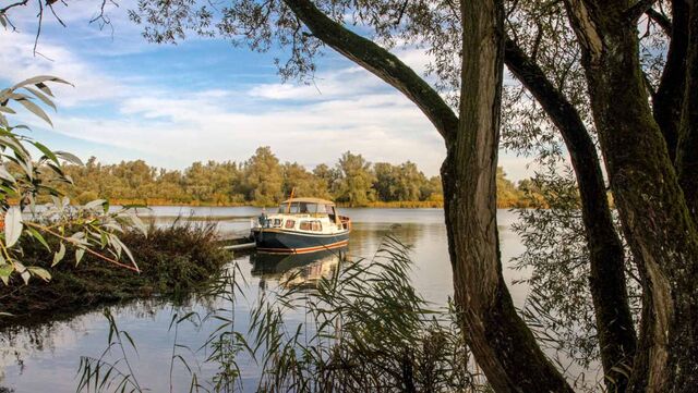 Nationaal Park De Biesbosch