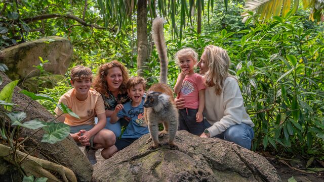 De leukste dierentuinen in Nederland| ANWB