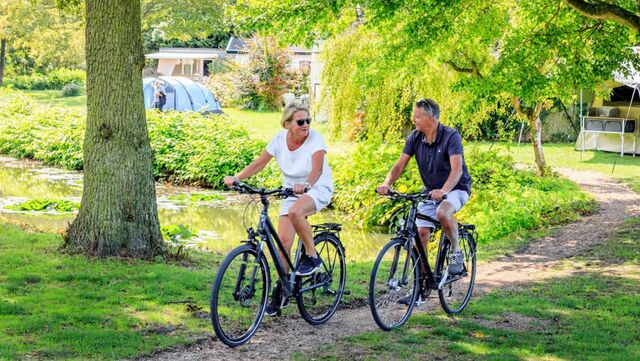 Hybride fiets: de kenmerken | ANWB