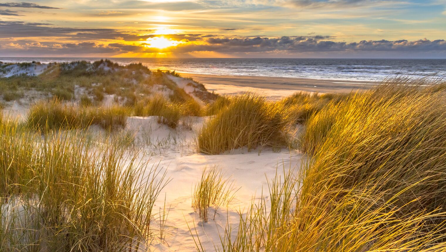 Vakantie Waddeneilanden? De mooiste Waddeneilanden reizen! » ANWB