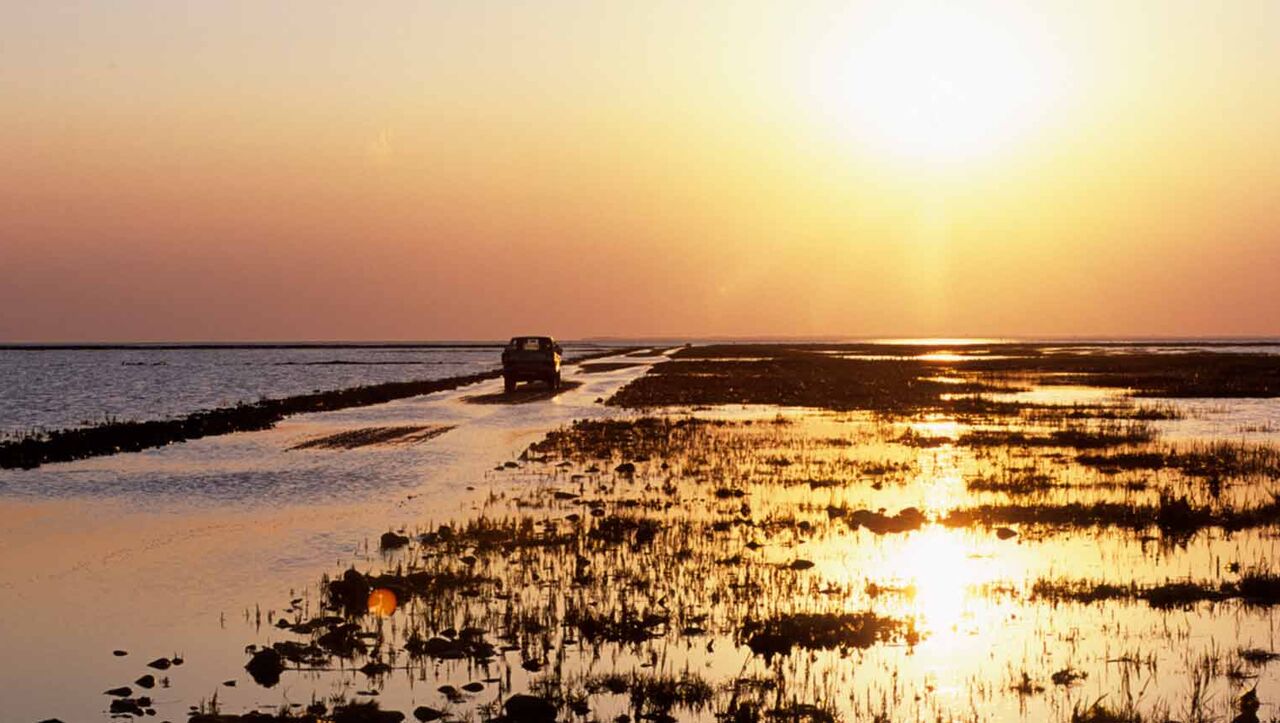 Vakantie Denemarken? De mooiste Denemarken reizen! » ANWB