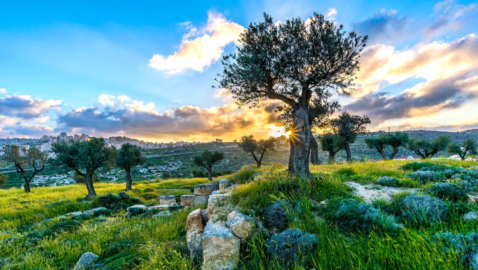 Tips en inspiratie voor Israël vakantie | ANWB