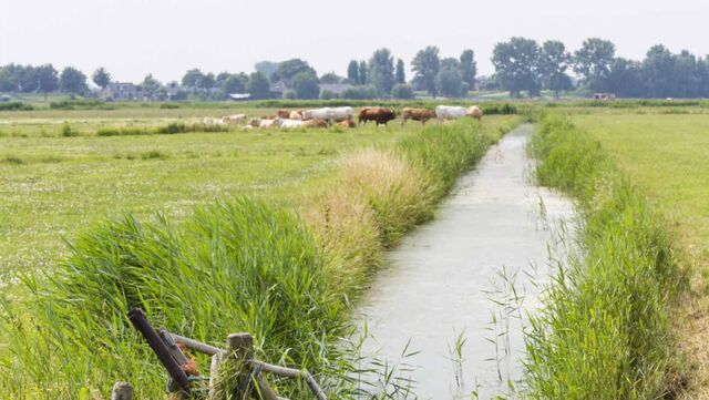Wandelen in Krimpen aan den IJssel - Krimpenroute | ANWB