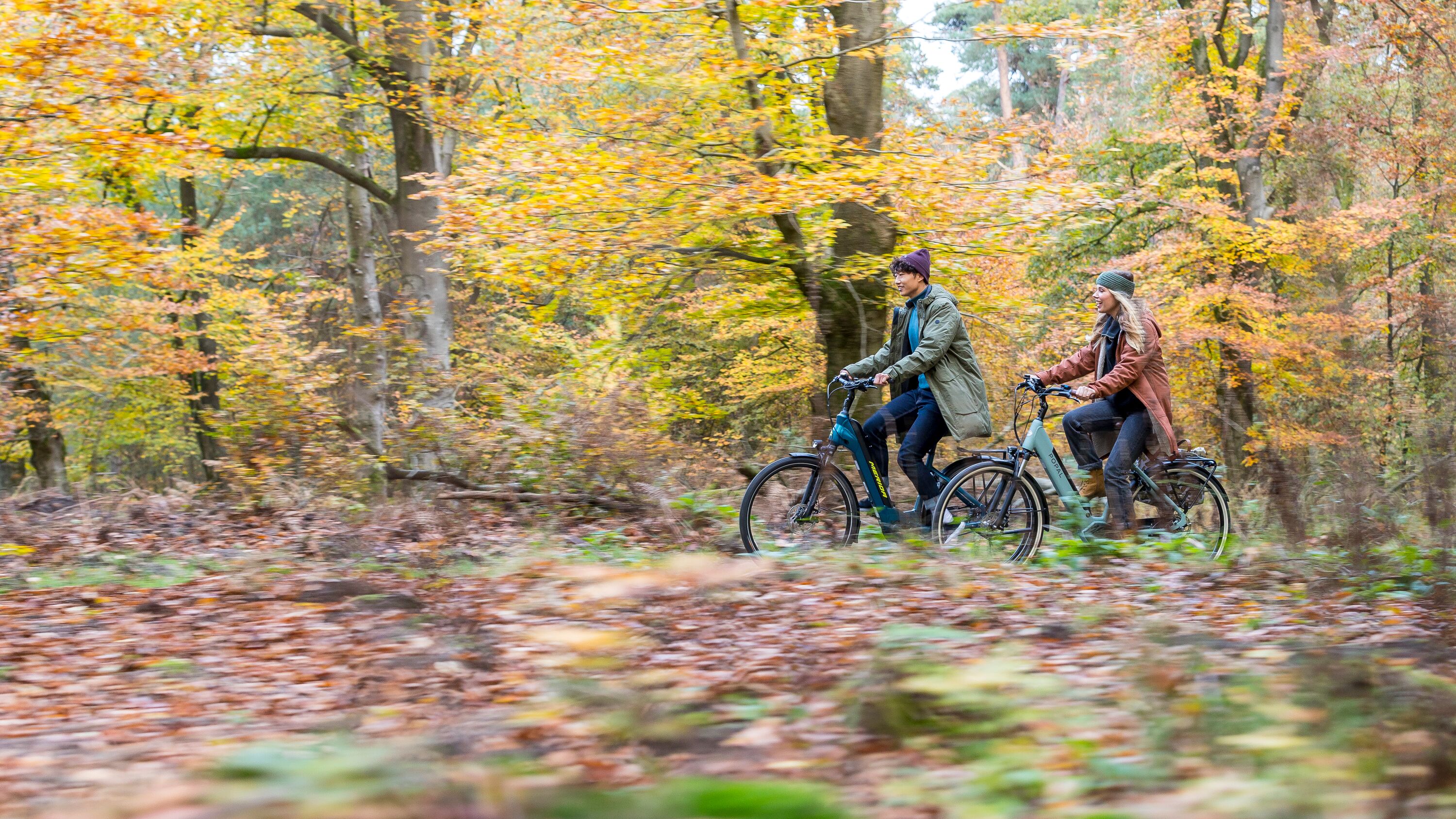 Informatie over e-bikes: tests, advies én keuzehulp | ANWB