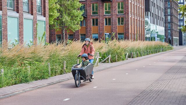 Alles voor je fiets: informatie, keuzehulp en aankooptips | ANWB