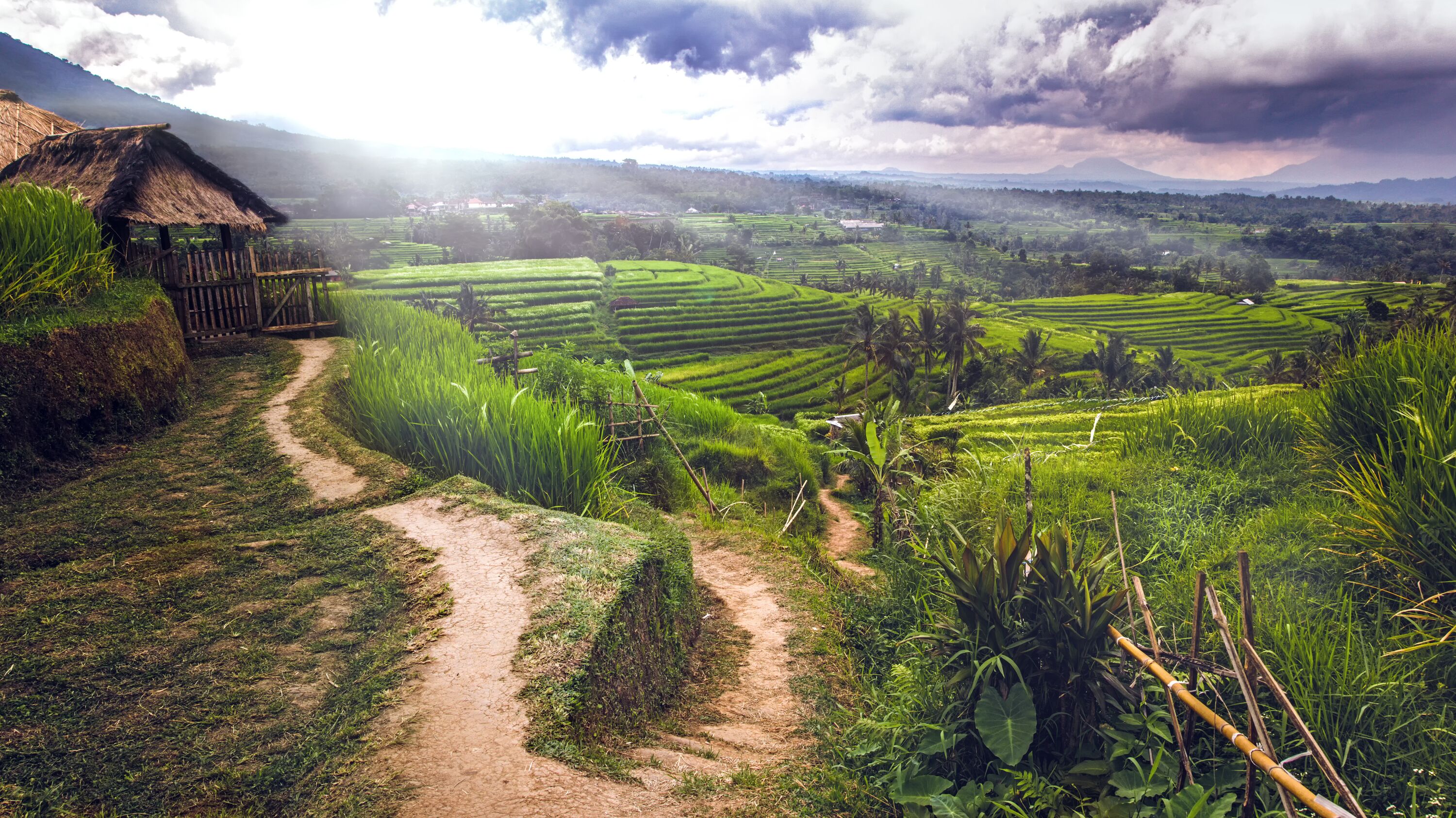 Rondreis naar Bali, Indonesië? Rondreizen van » ANWB