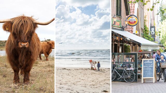Wandelen in Bergen aan Zee? Volg deze wandelroute | ANWB