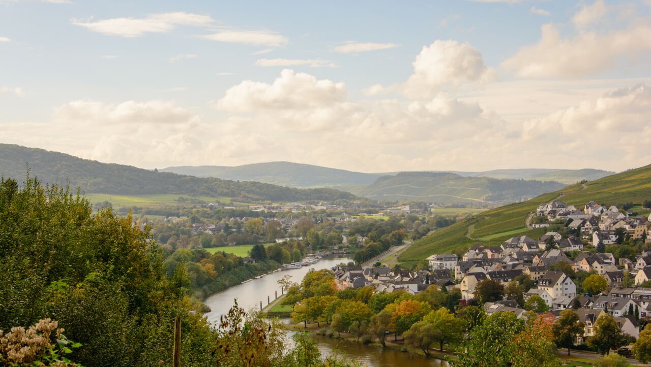Fietsvakantie Moezel | De mooiste fietsreizen langs de Moezel » ANWB