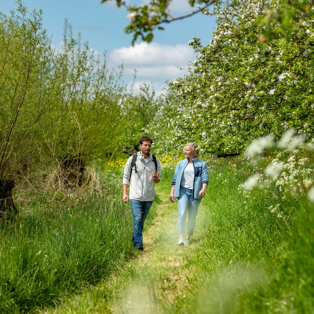 Dit zijn de leukste tips voor een dagje uit in Nederland | ANWB
