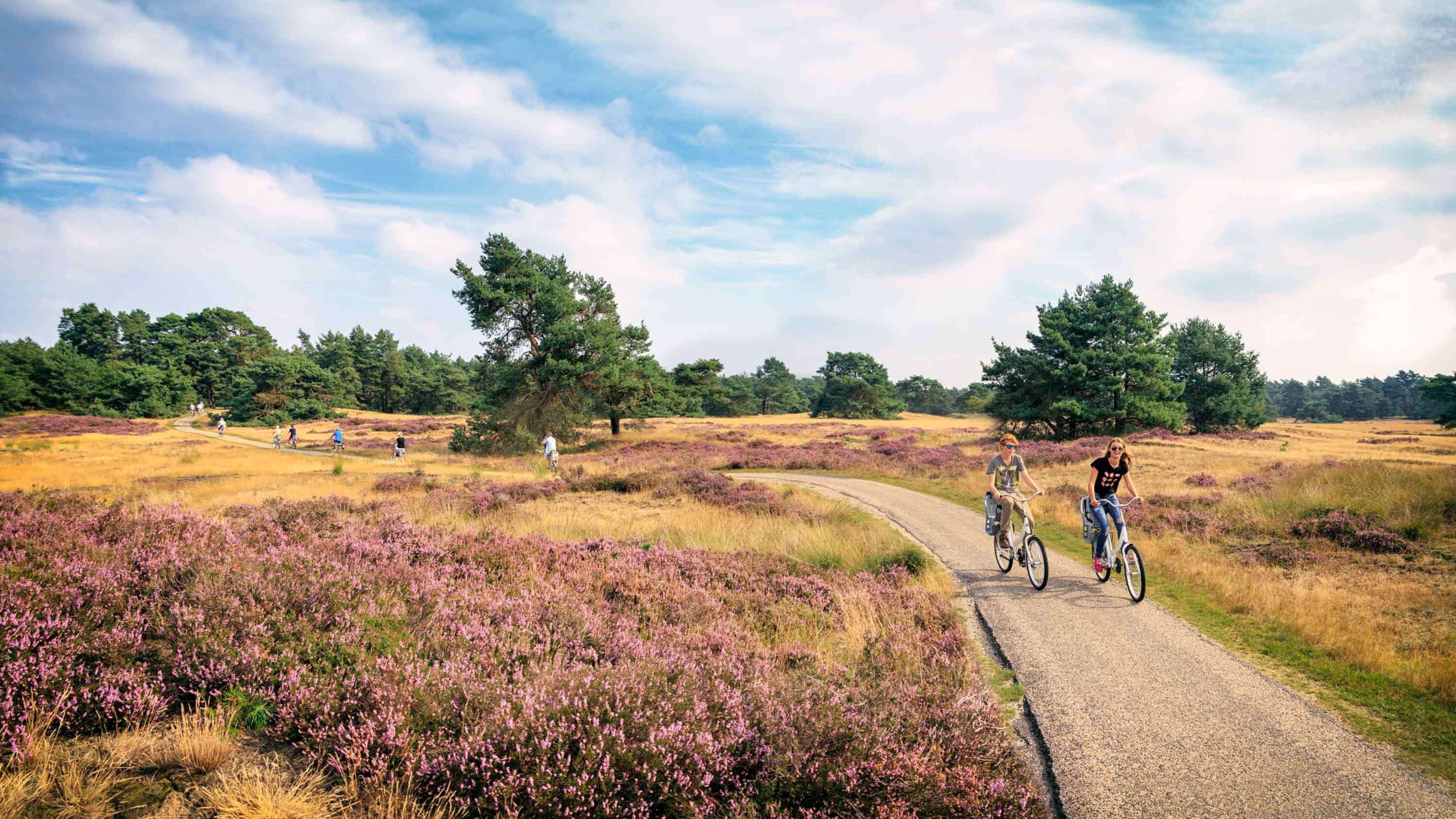 Dagje weg in Gelderland | Bekijk uitjes-tips | ANWB