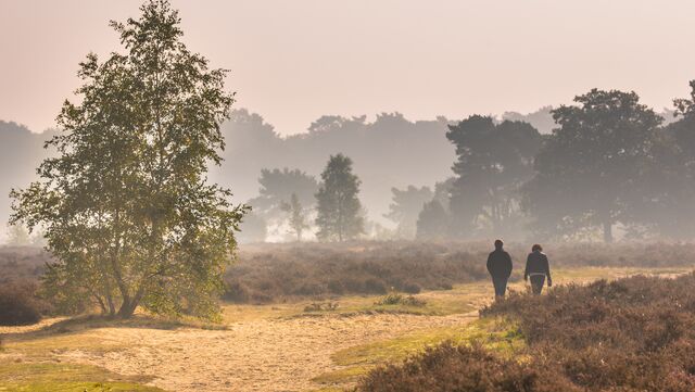 Weekendje weg in de natuur | ANWB