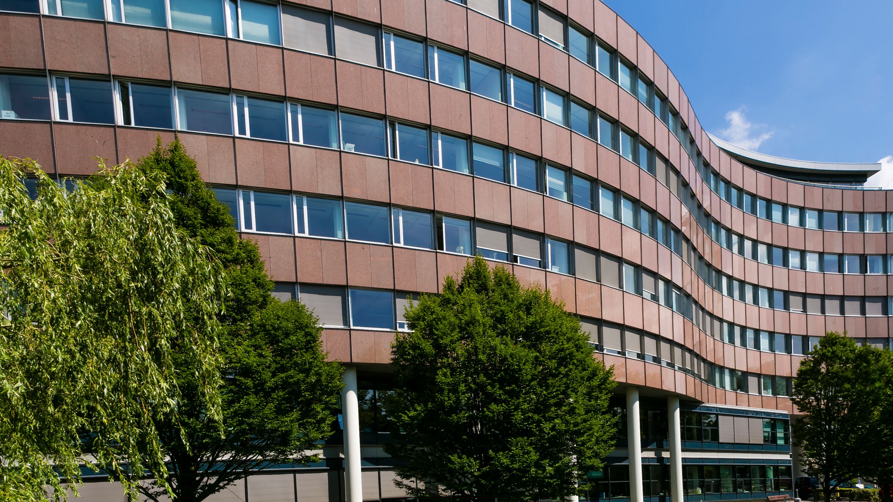 ANWB Organisatie | ANWB