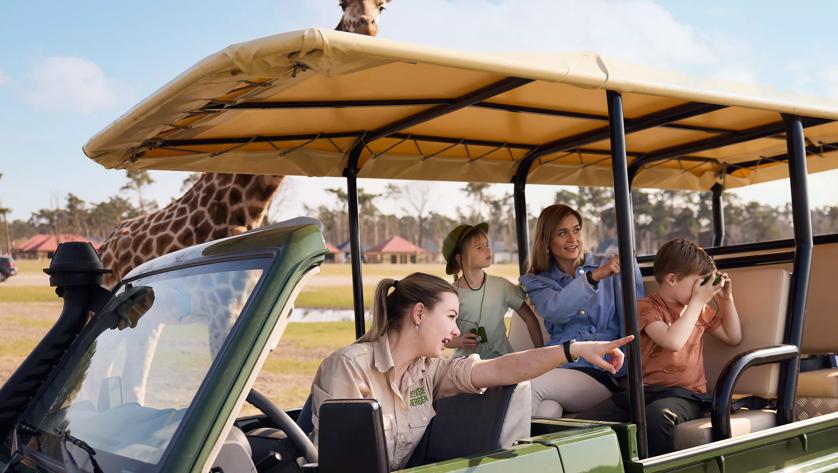 Safaripark Beekse Bergen tickets | Tot 34% korting | ANWB