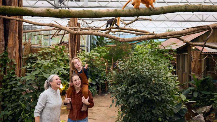 ZooParc Overloon tickets | tot 35% korting | ANWB