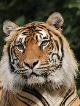 Korting met je platina pas | ANWB