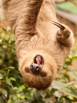 Korting met je platina pas | ANWB