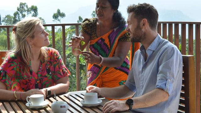 Individuele reizen | Fox