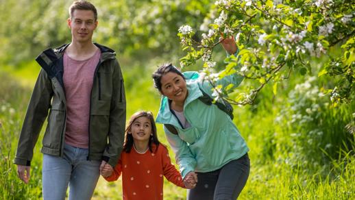 Routeplanner van de ANWB - Plan je route | ANWB