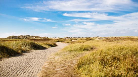 Wandelen: wandelroutes, tips en uitrusting | ANWB