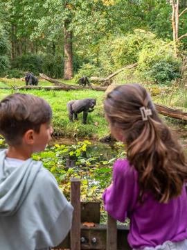 Korting met je platina pas | ANWB